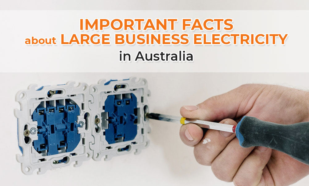 Facts about Large Business Electricity in Australia